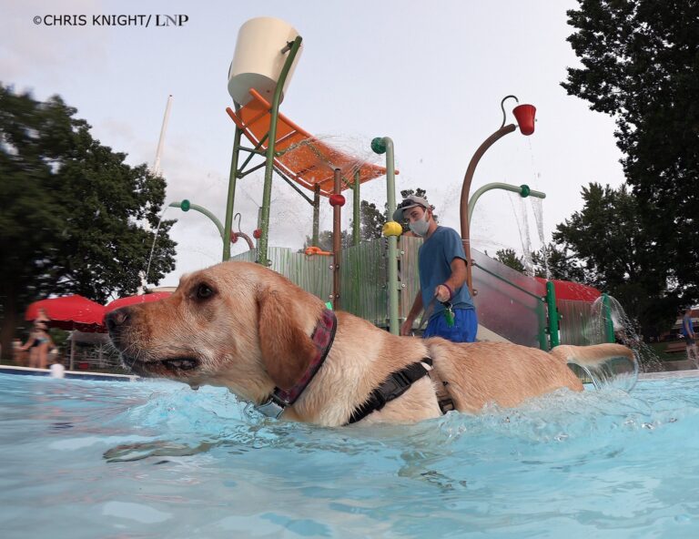 Lititz Springs Pool – Lititz Rec