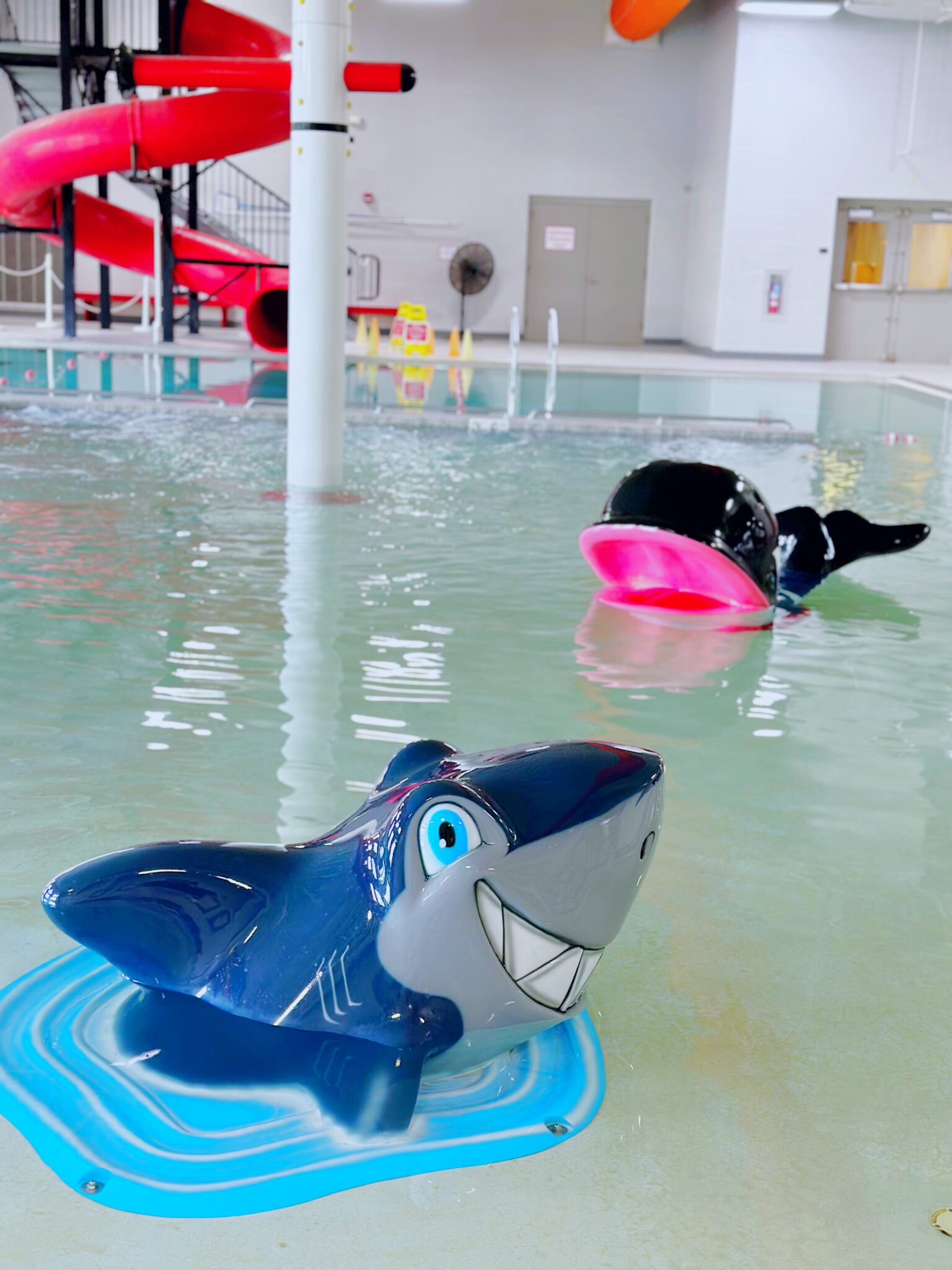 Indoor & Outdoor Pools – Lititz Rec