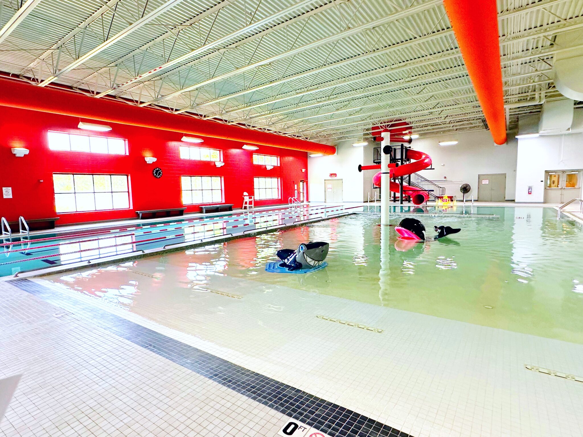 Indoor & Outdoor Pools – Lititz Rec
