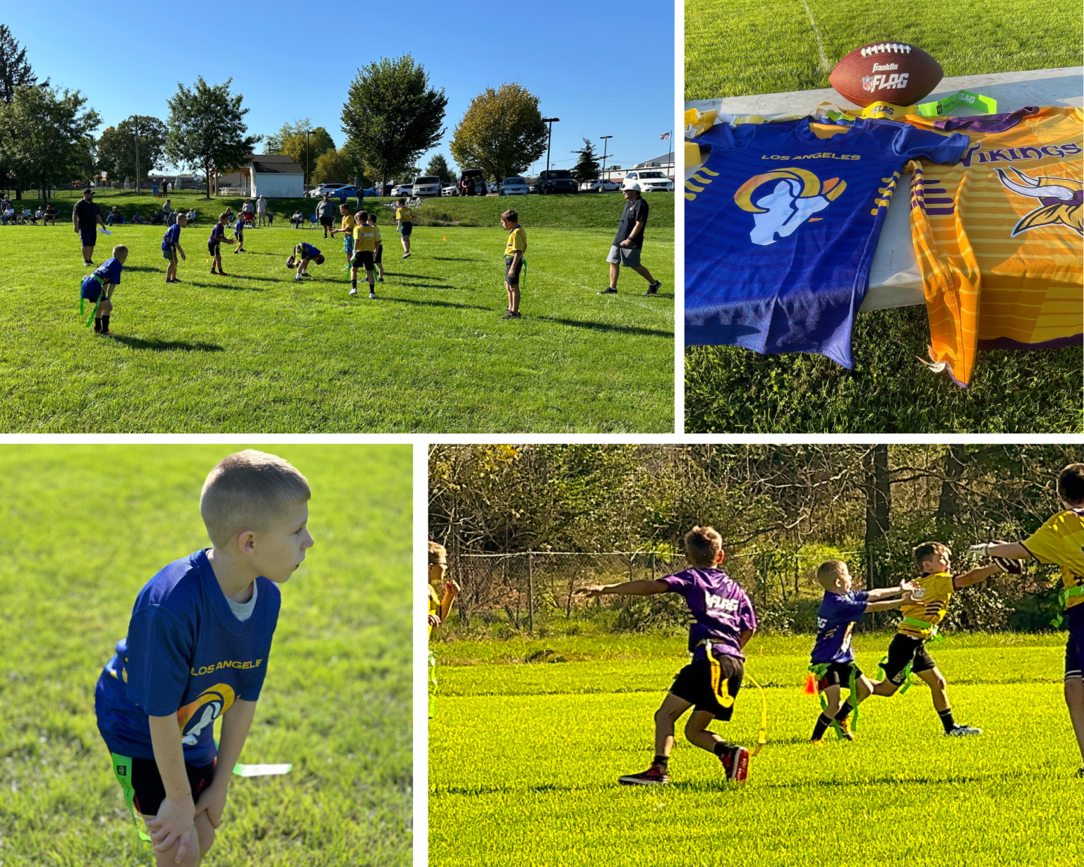 NFL COLLAGE 3 – Lititz Rec