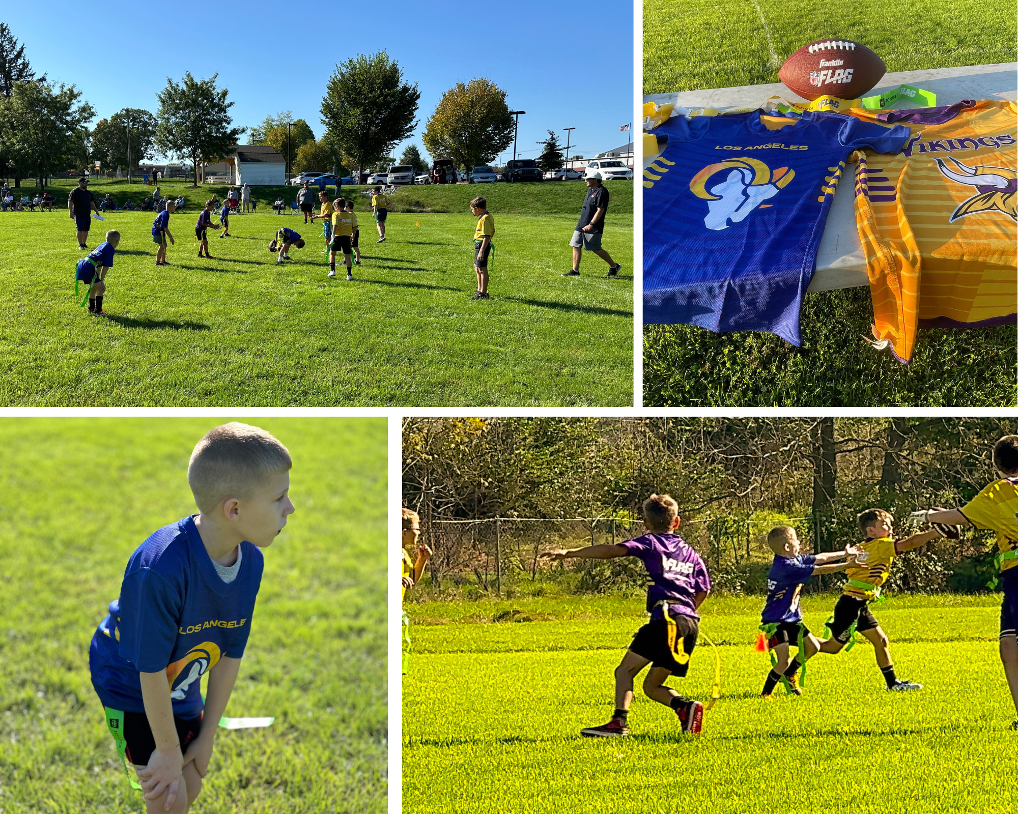 NFL COLLAGE 3 – Lititz Rec